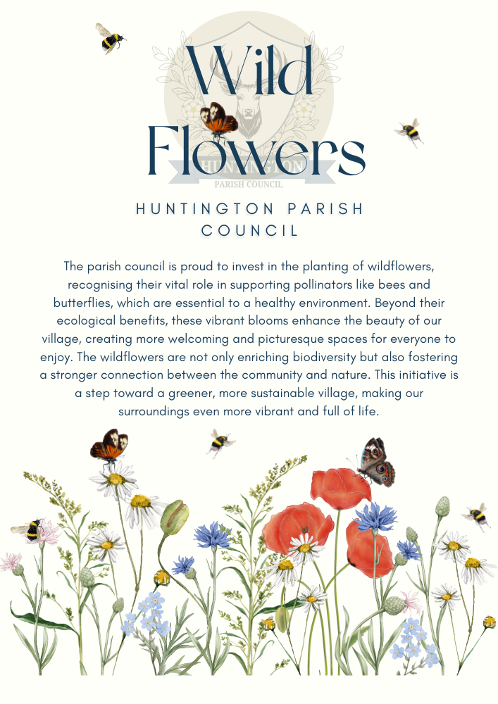 Huntington Parish Council: Wild Flowers 2025